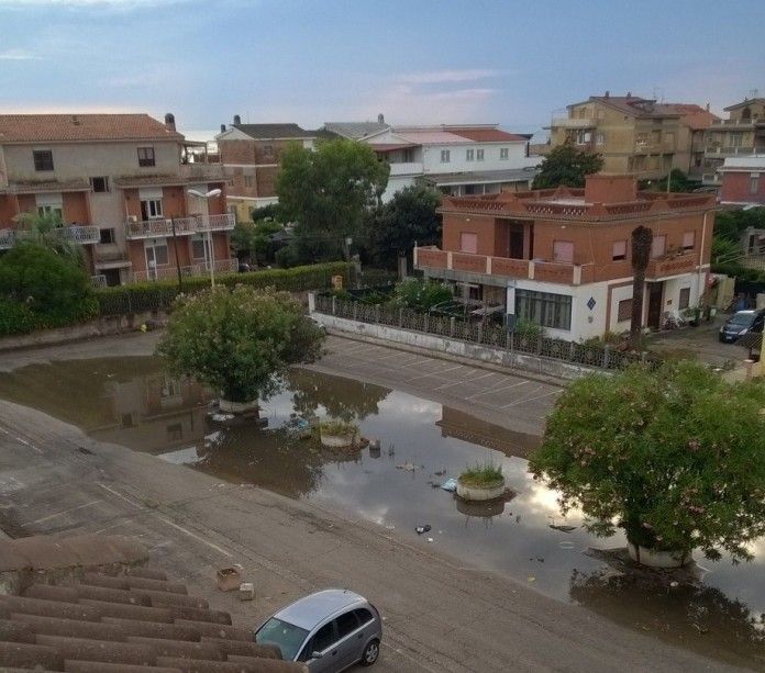 La foto del giorno: "Ardea Comune lagunare"
