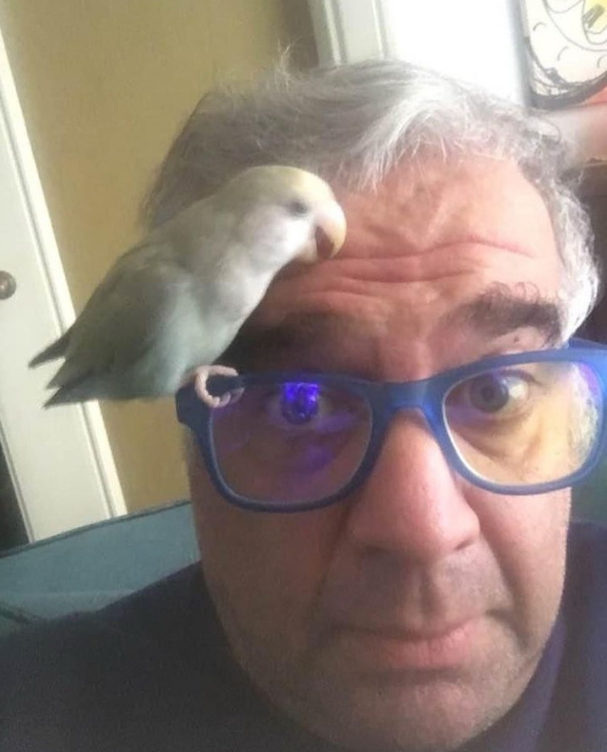 Charlie Gnocchi al GF VIP: chi è, età, carriera, fratello, moglie, vita ...