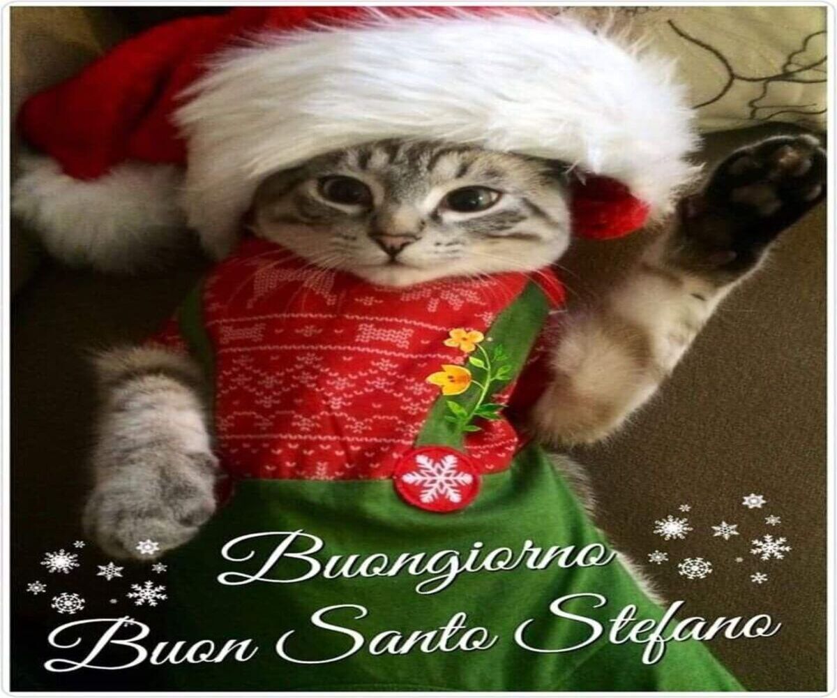 Santo Stefano 2022: frasi divertenti e immagini da inviare oggi