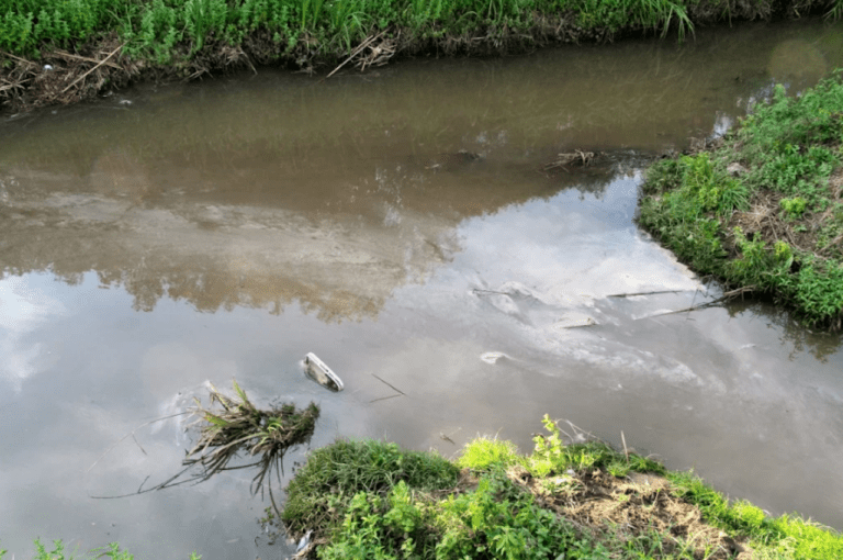 Torvaianica, sversamento di catrame nel canale: pericolo inquinamento ...
