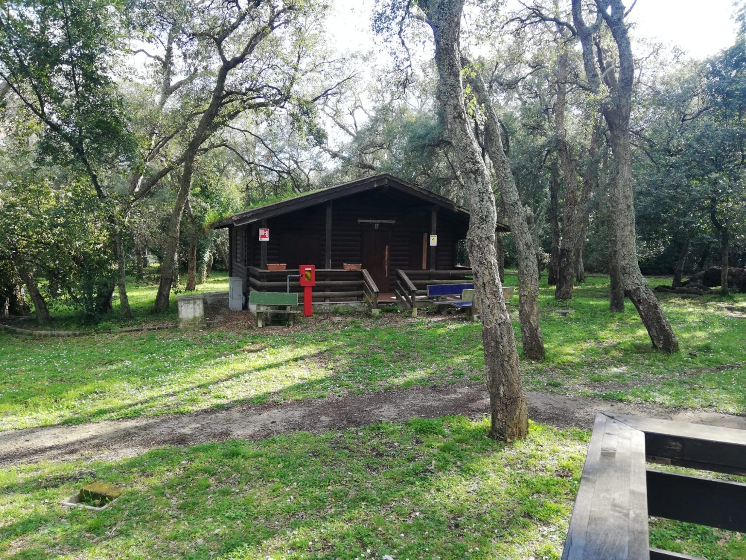 Pomezia, il “tesoro” abbandonato alla Selva dei Pini: bungalow chiusi e ...