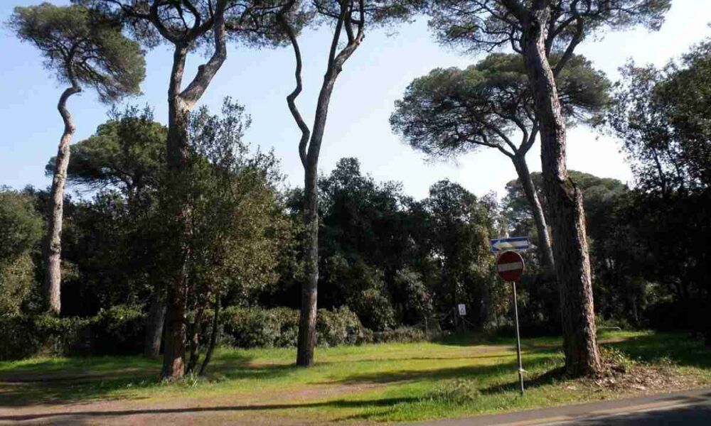 Pericolo incendi a Ostia, rimangono spente le telecamere nella Pineta ...