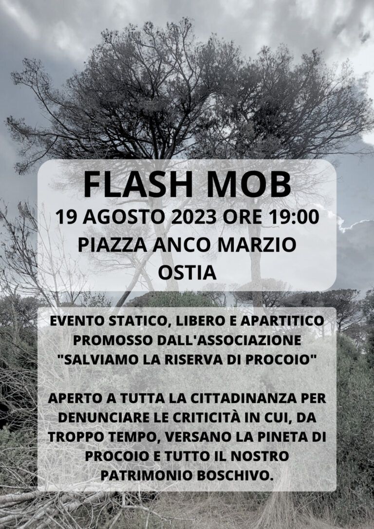 Flash mob per le pinete a Ostia: ‘Salviamo l’oro verde della nostra città’