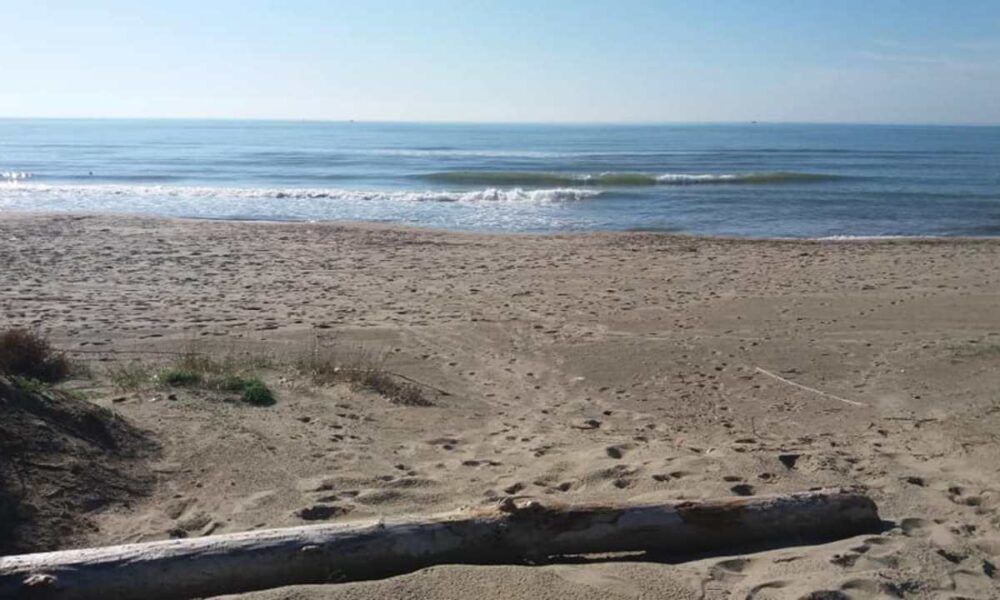 Ubriaco inizia a palpeggiare una donna nell'oasi nudista di Capocotta ...