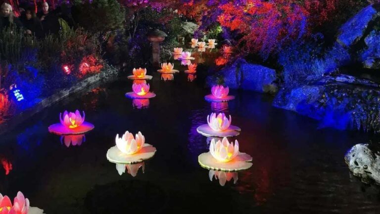 Roma, al via "Trame di Luce": l’Orto Botanico torna a ospitare la ...