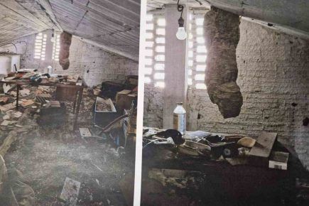 Mega nido di calabrone europeo scoperto nella mansarda: "Alto più di 1 ...