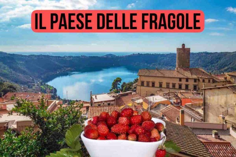 È chiamato il "Paese delle Fragole", una vera eccellenza del nostro ...